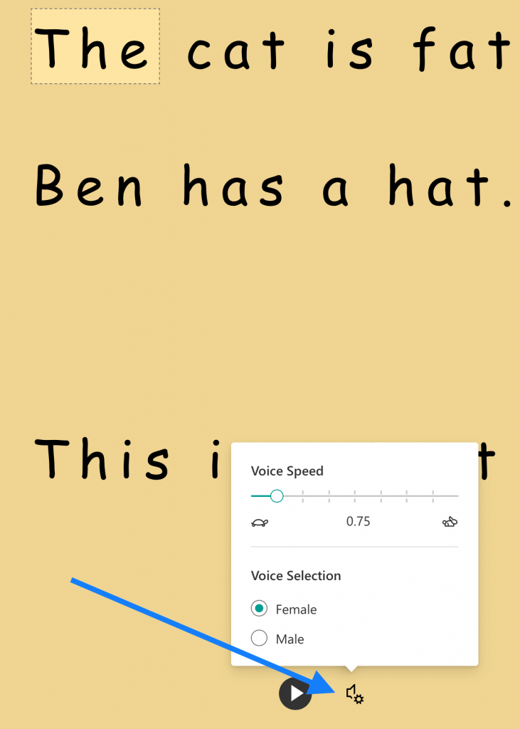 How to use Microsoft Immersive Reader on the iPad – Homeschool Tablet